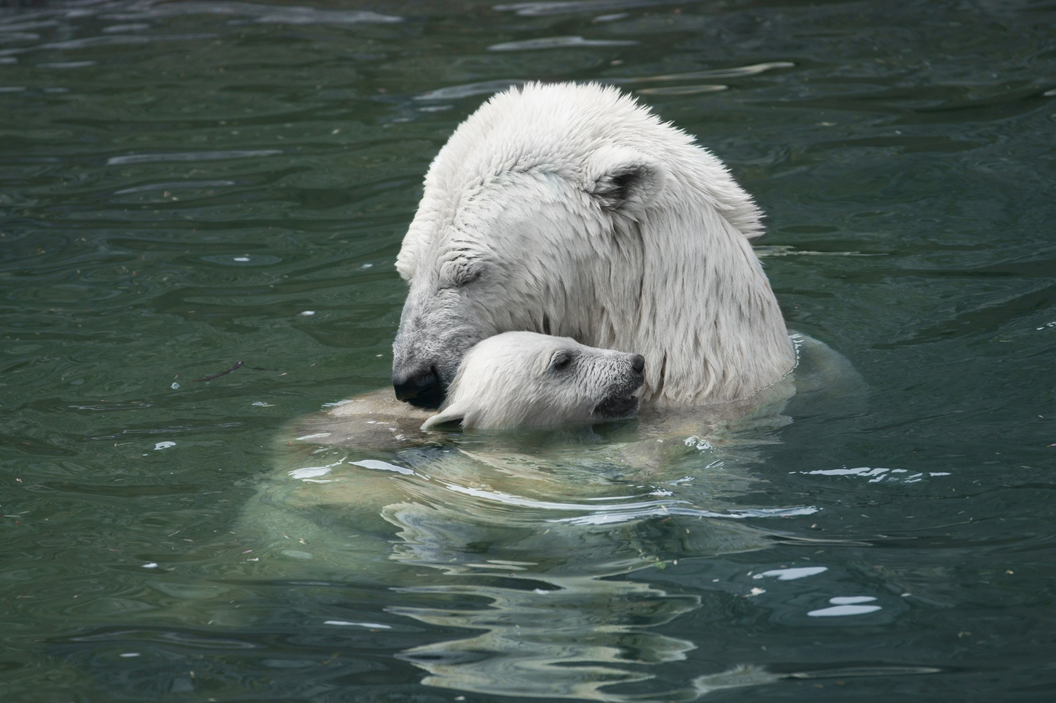 Moscow Zoo