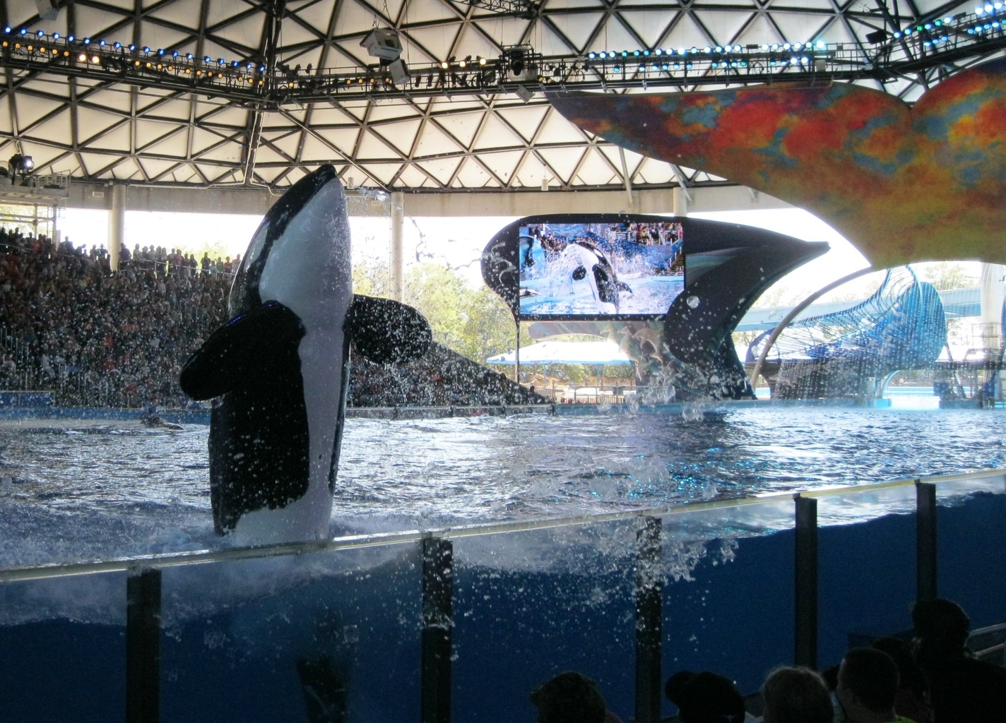 SeaWorld San Antonio