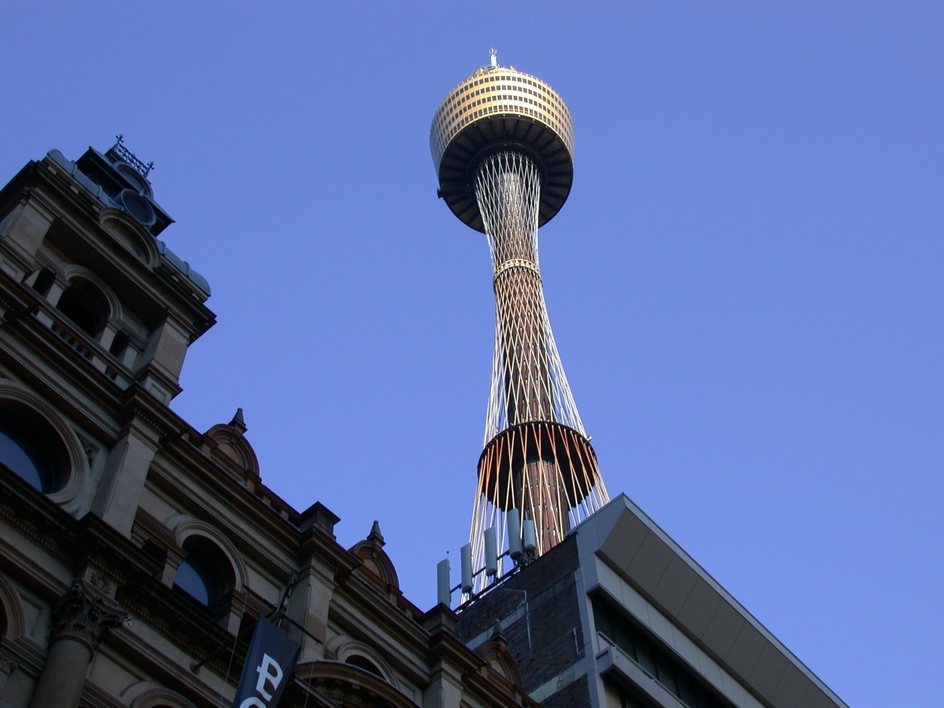 Sydney Tower