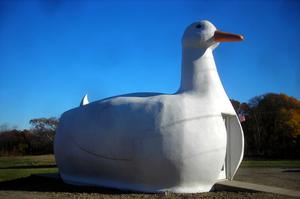 Big Duck
