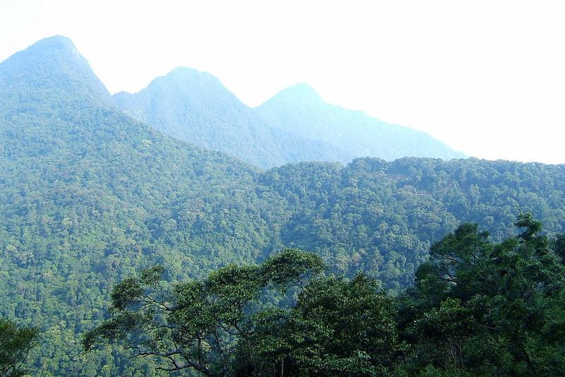 Tam Dao National Park