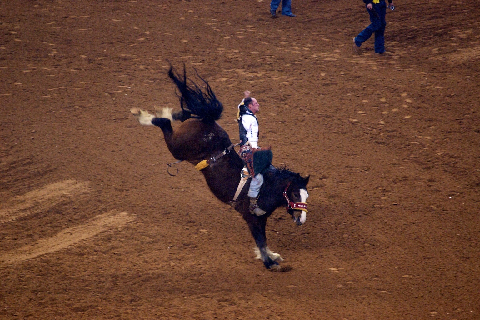 Houston Livestock Show and Rodeo 2016