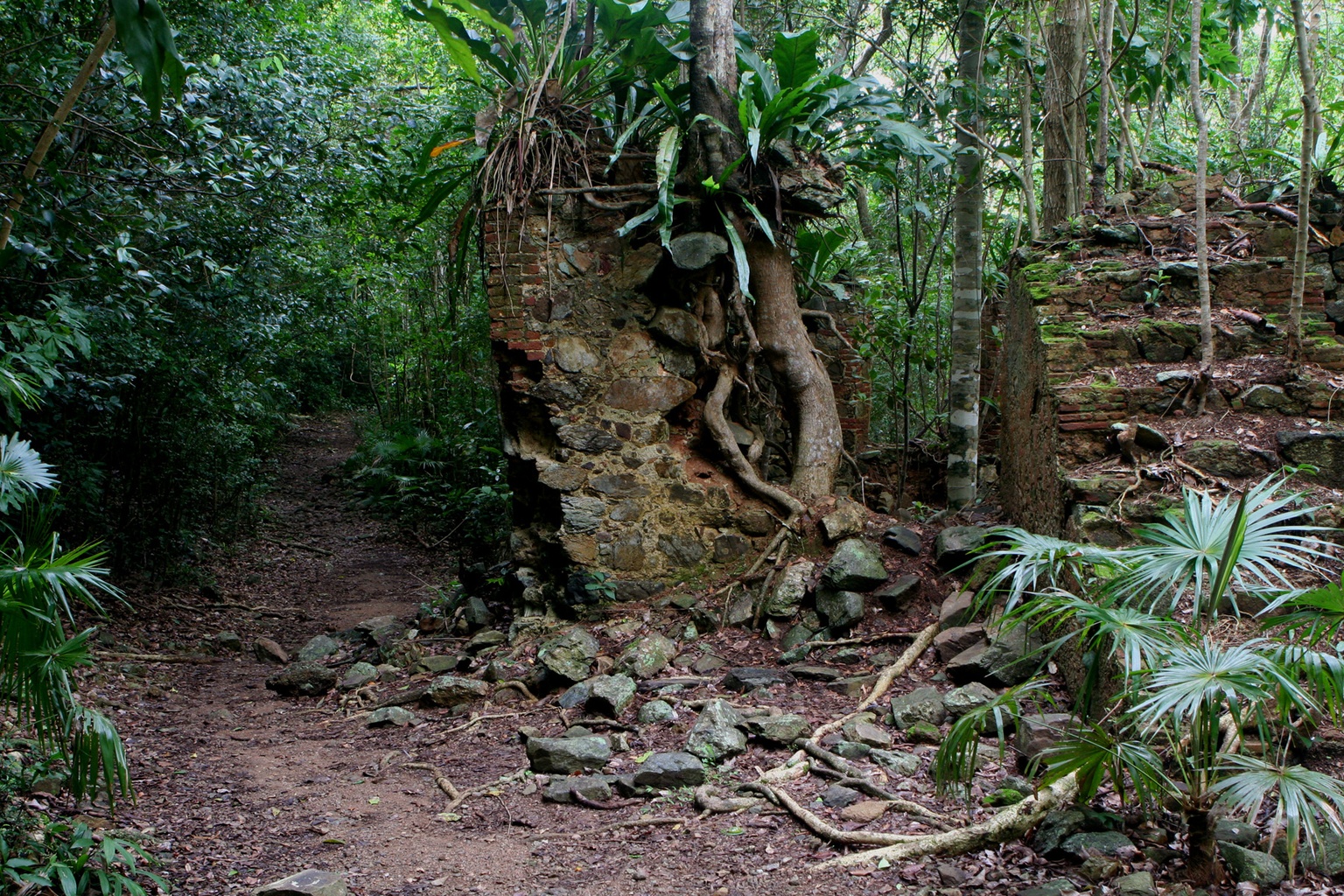 Reef Bay Trail