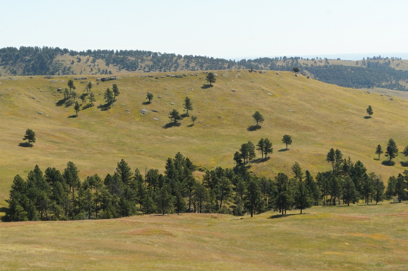 Highland Creek Trail