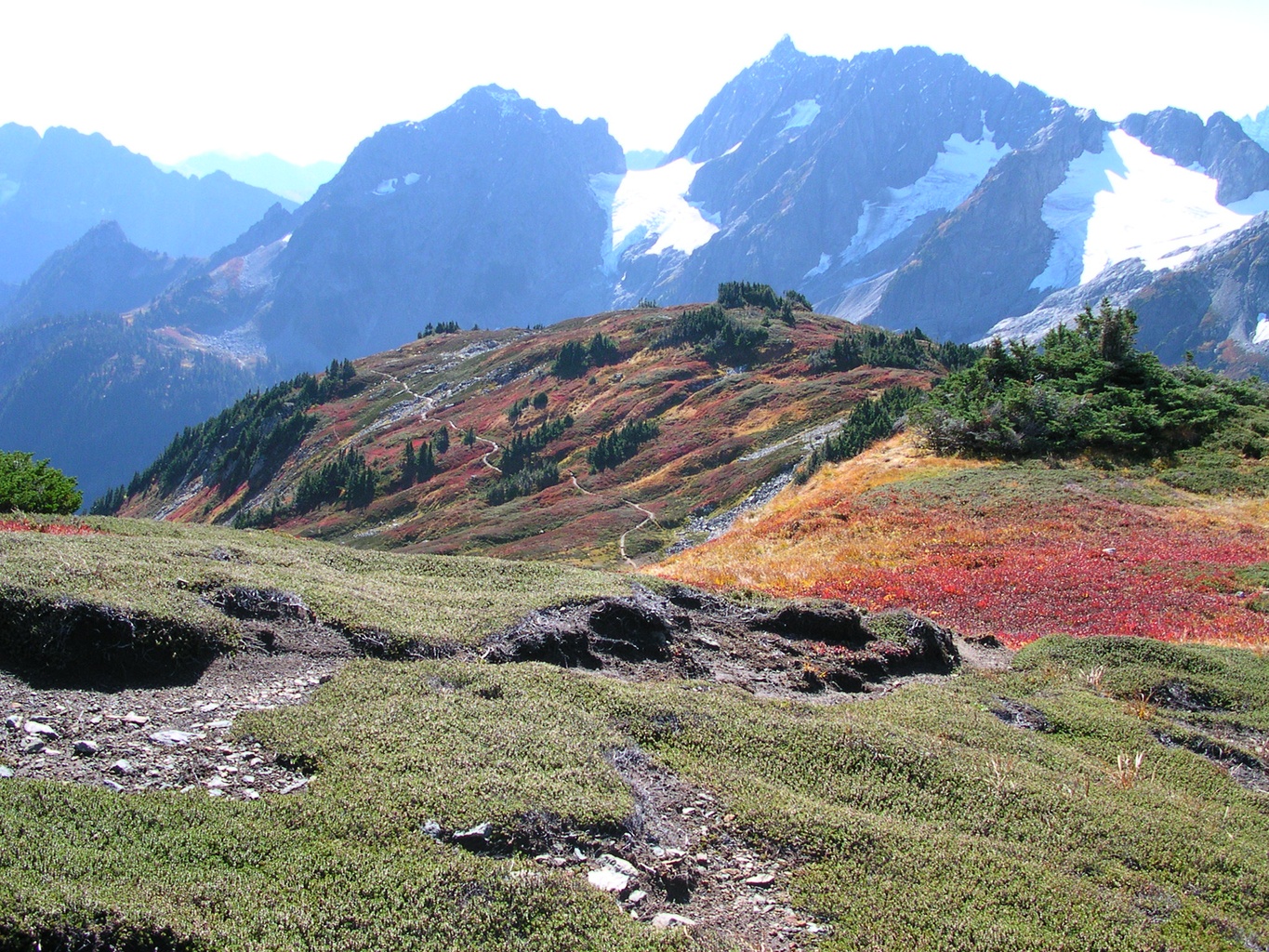 Cascade Pass to Sahale Arm Trail