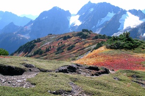 Cascade Pass to Sahale Arm Trail