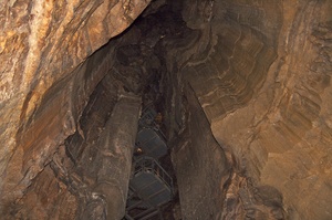 Mammoth Cave National Park