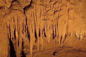 Mammoth Cave National Park