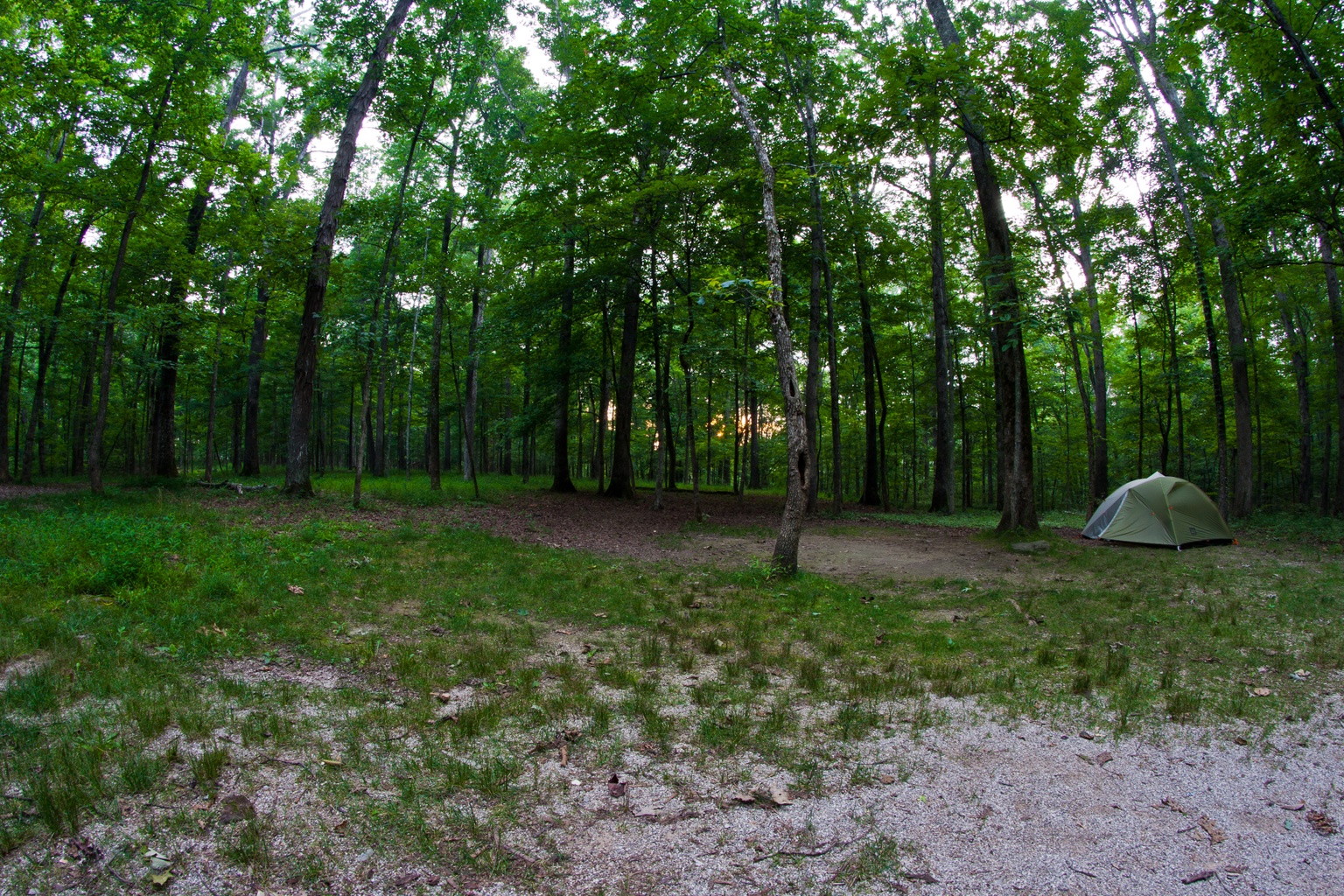 Mammoth Cave Campground