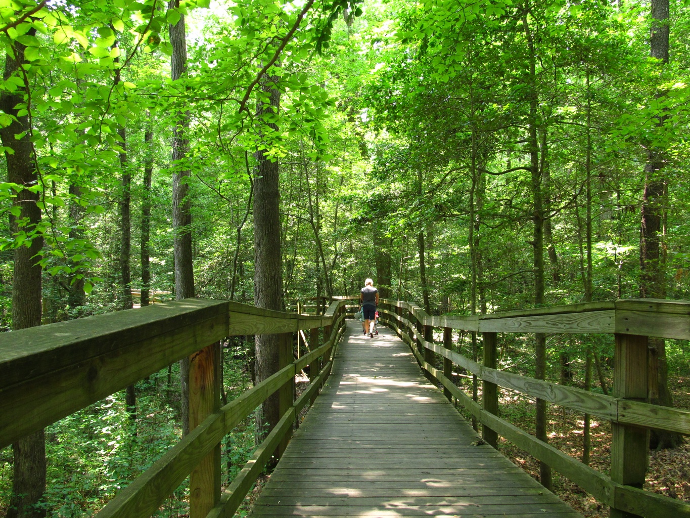 Boardwalk Loop