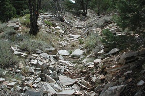 Great Basin National Park