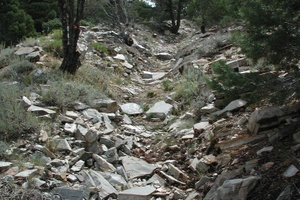 Great Basin National Park