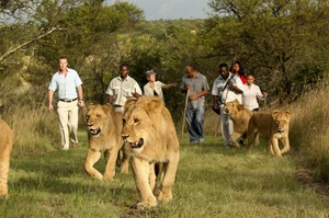 Protea Hotel Ranch Resort