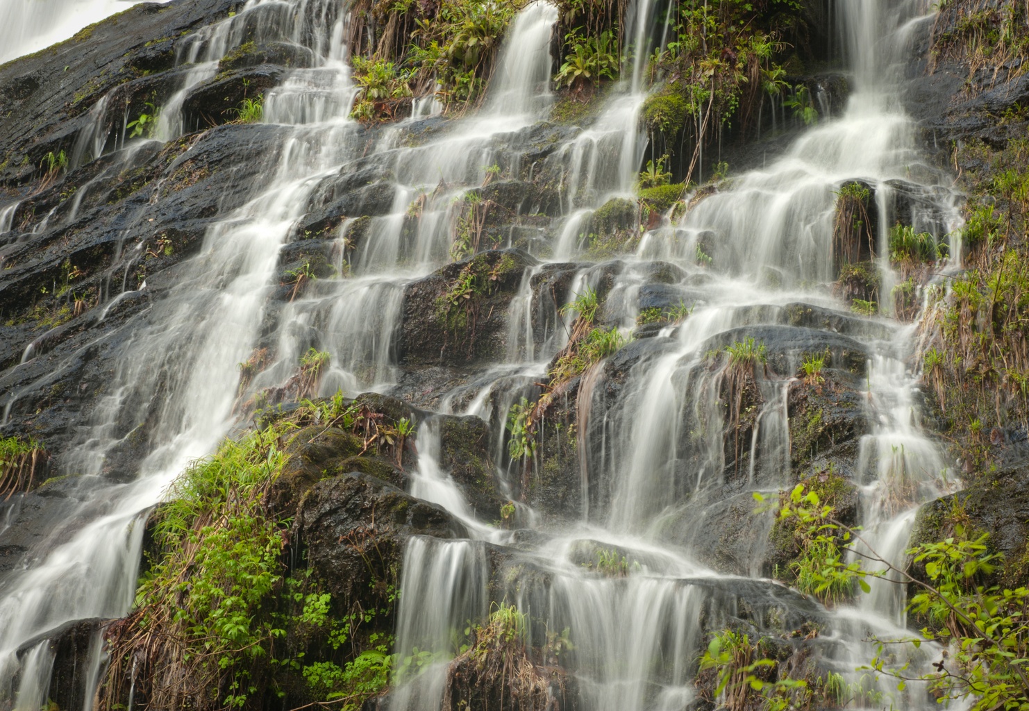 Catawba Falls