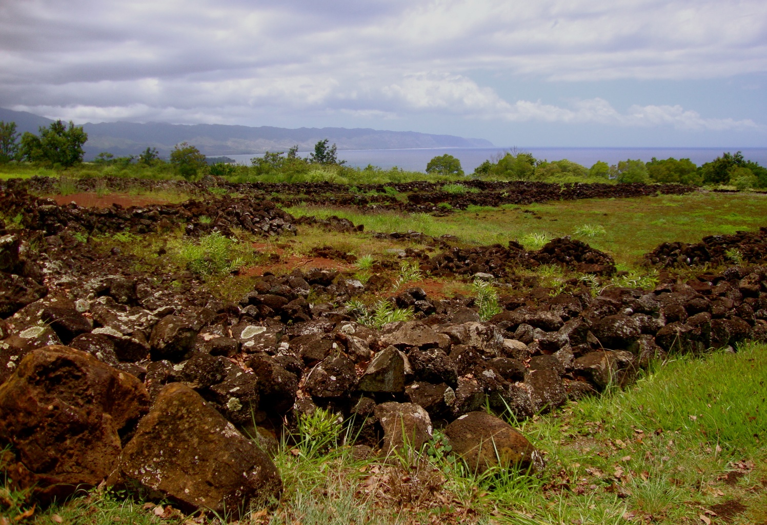 Pu'u o Mahuka Heiau State Monument