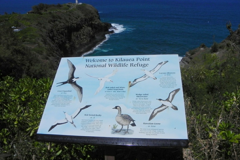 Kīlauea Point National Wildlife Refuge