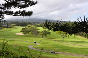 Kapalua Plantation & The Bay Courses