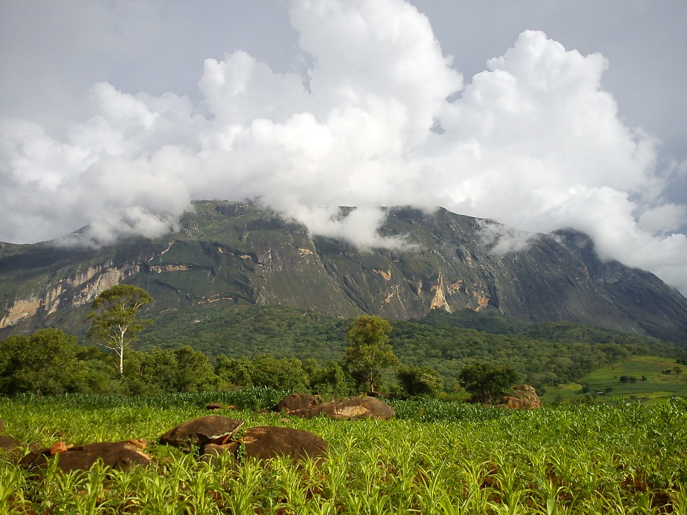 Mount Mulanje