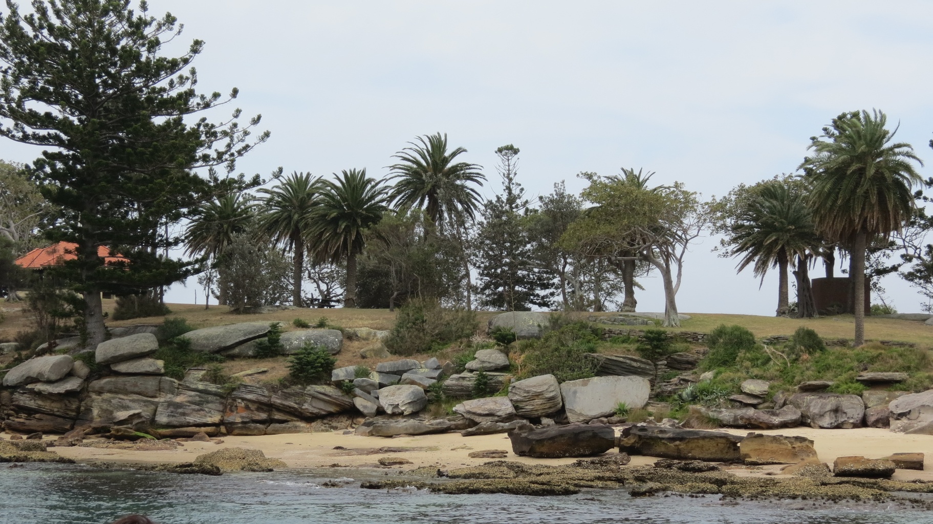 Shark Island