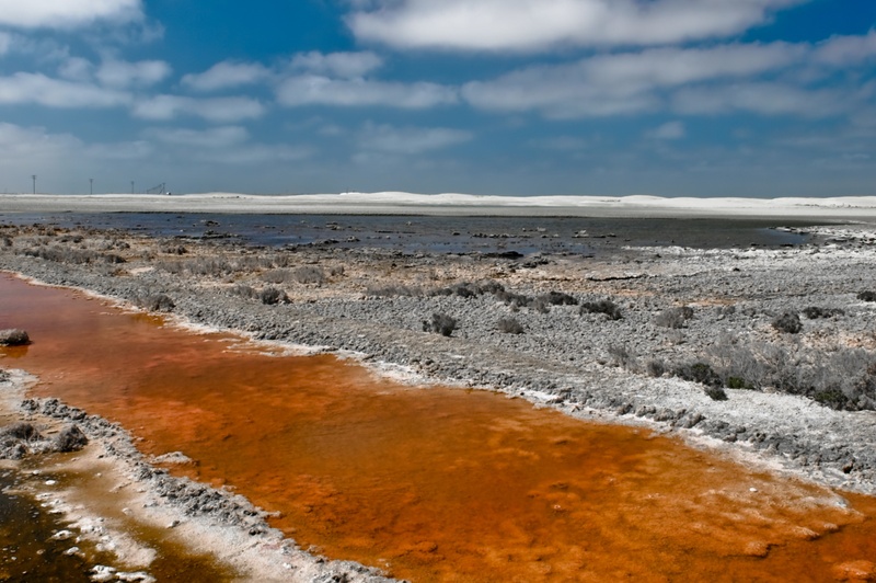 Guerrero Negro