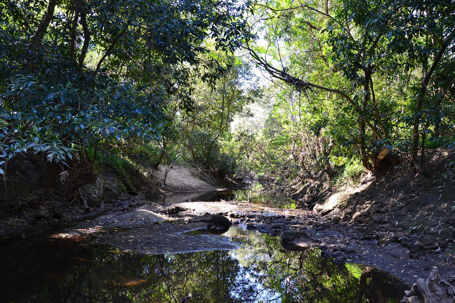 Lane Cove National Park