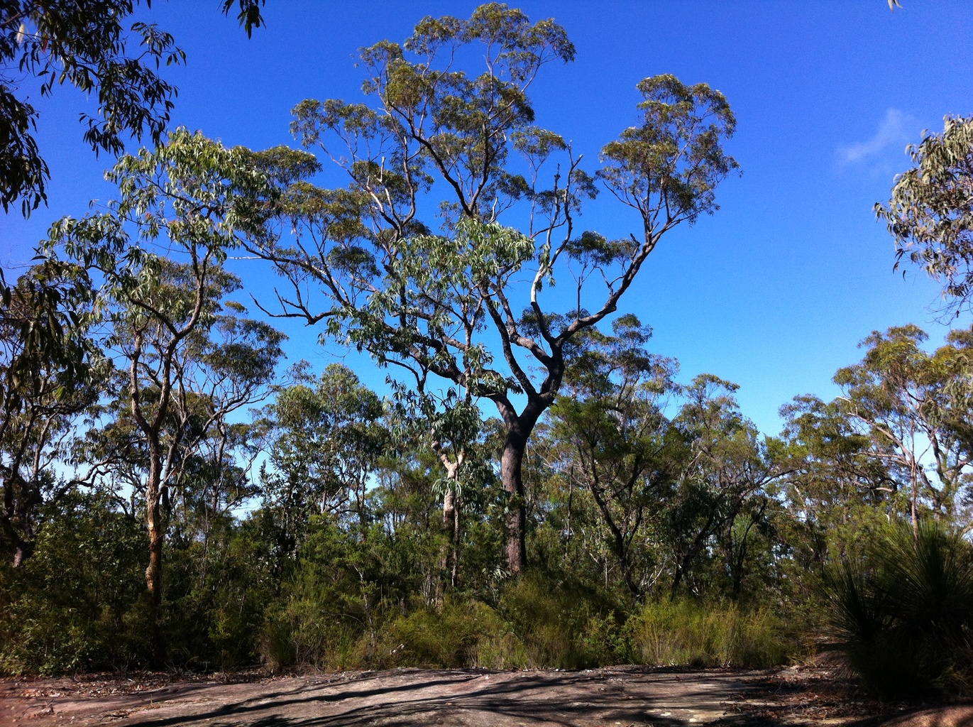Yengo National Park