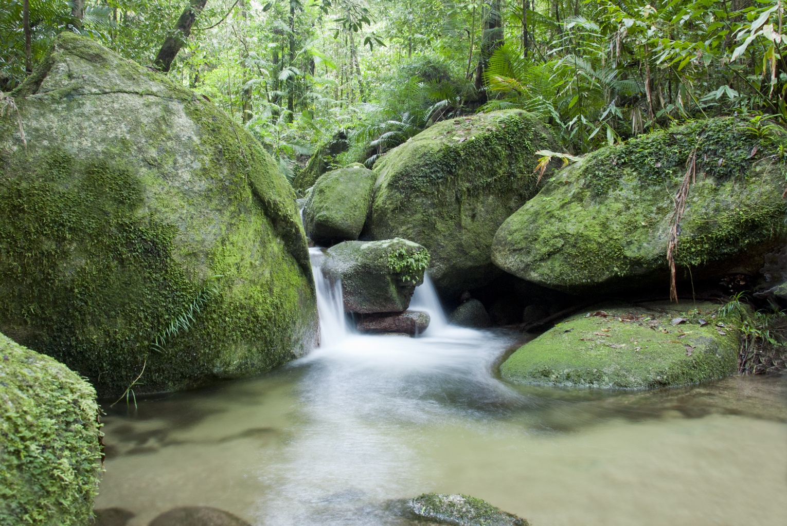 Mossman Gorge