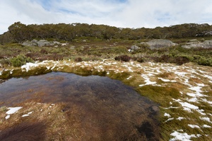 Baw Baw National Park