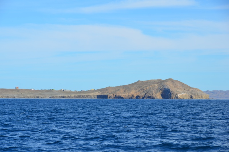 Isla de Cedros