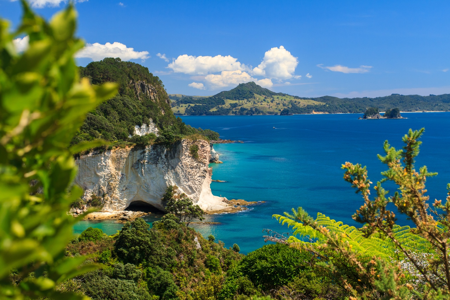 Coromandel Peninsula