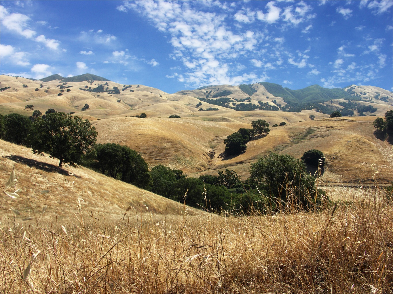 Mount Diablo State Park