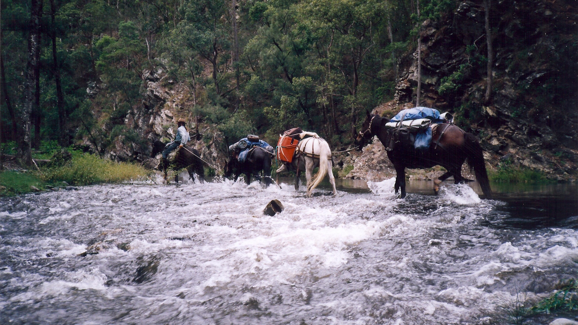 Bicentennial National Trail (National Horse Trail)