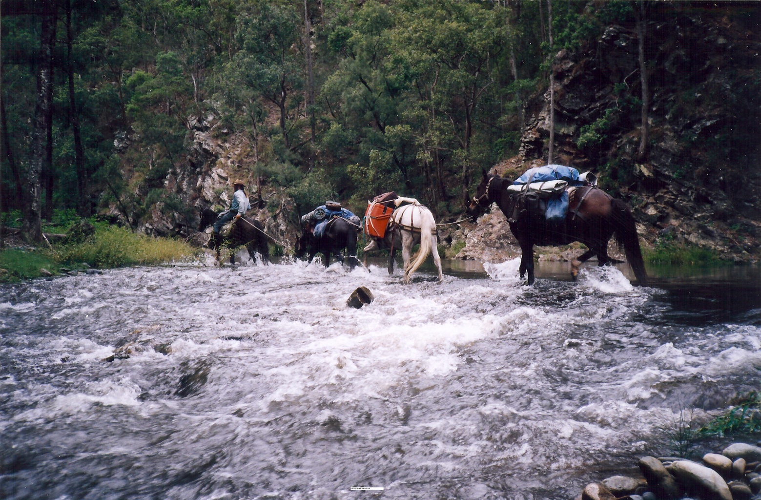 Bicentennial National Trail (National Horse Trail)