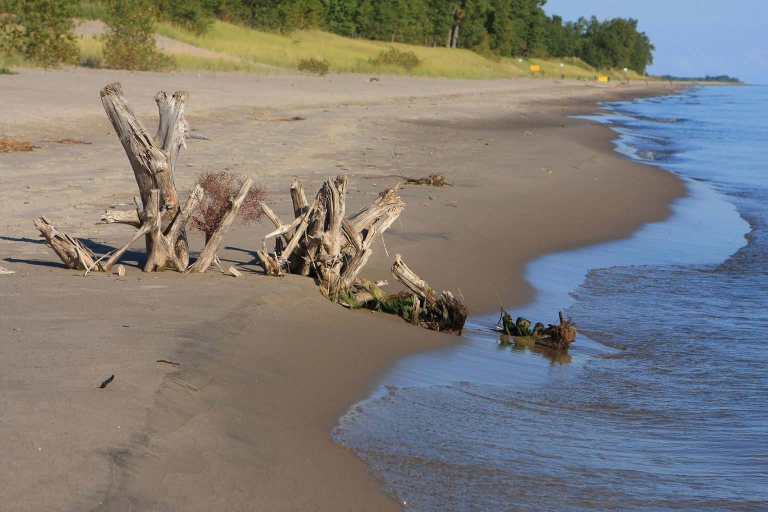 Long Point Provincial Park