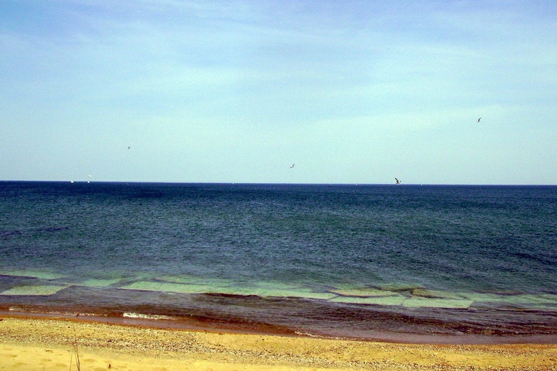 Illinois Beach State Park