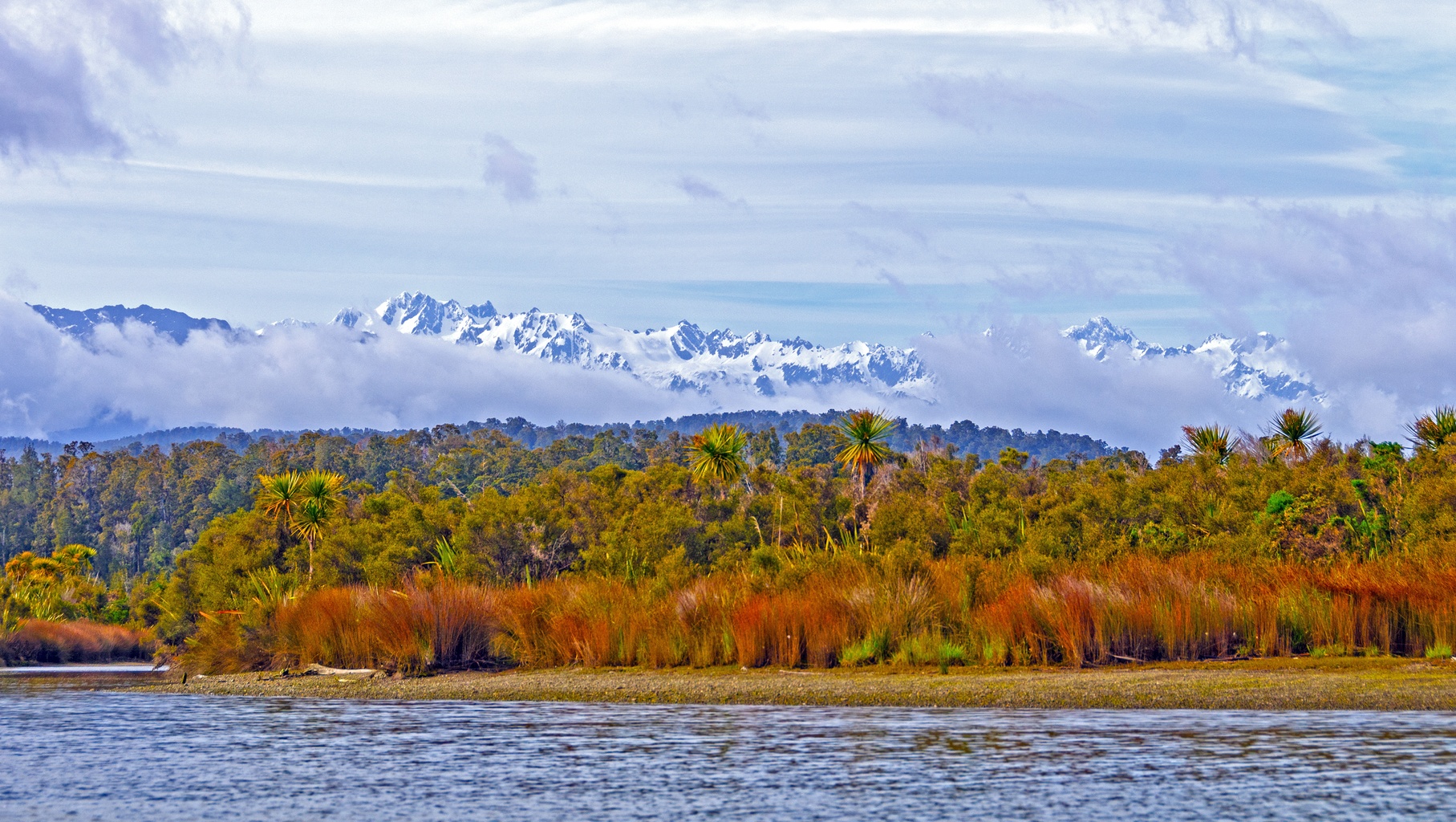 Ōkārito Lagoon