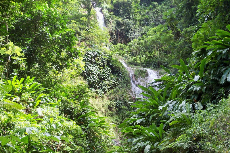 Tufton Hall Waterfall