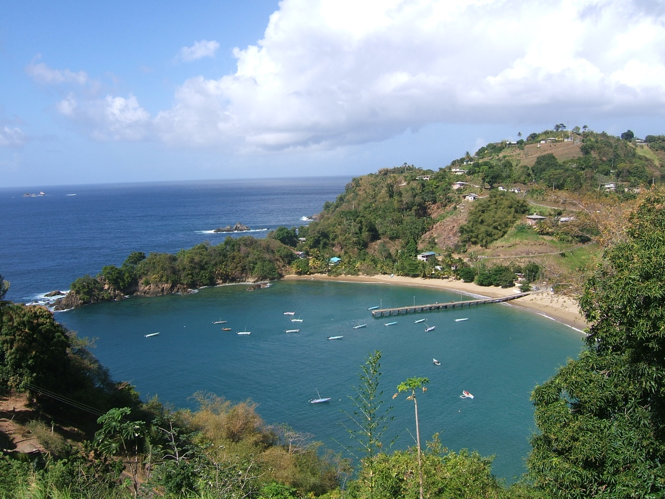Tobago Island