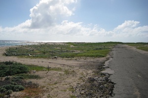 Aruba's Pet Cemetery