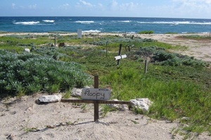 Aruba's Pet Cemetery