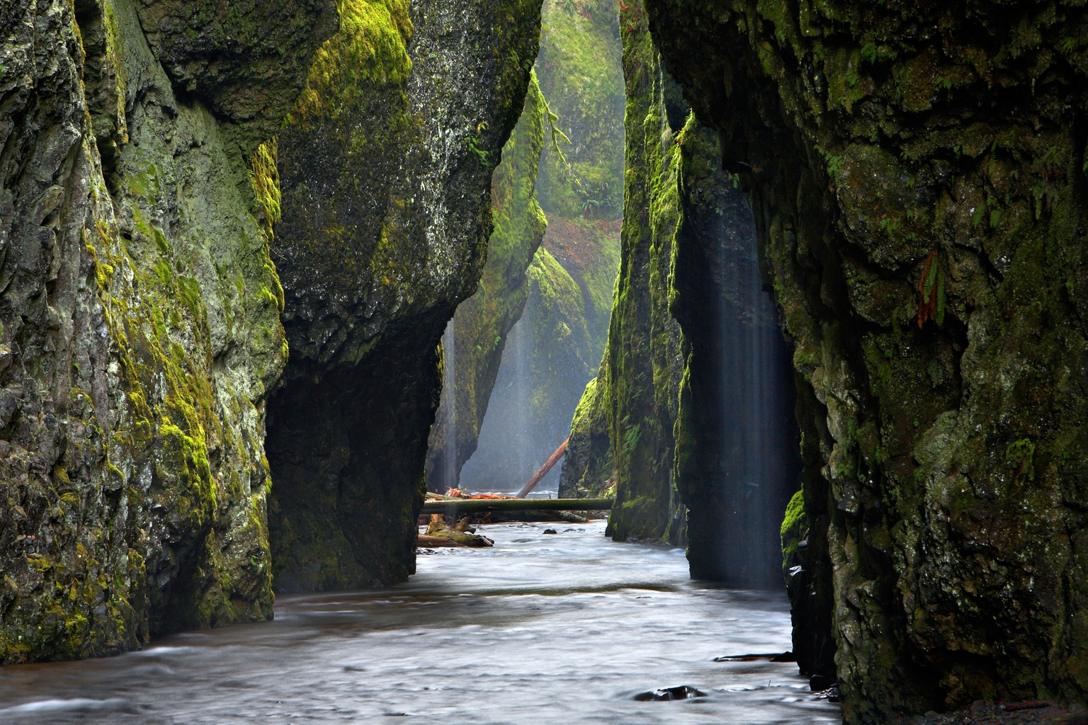 Oneonta Gorge & Triple Falls