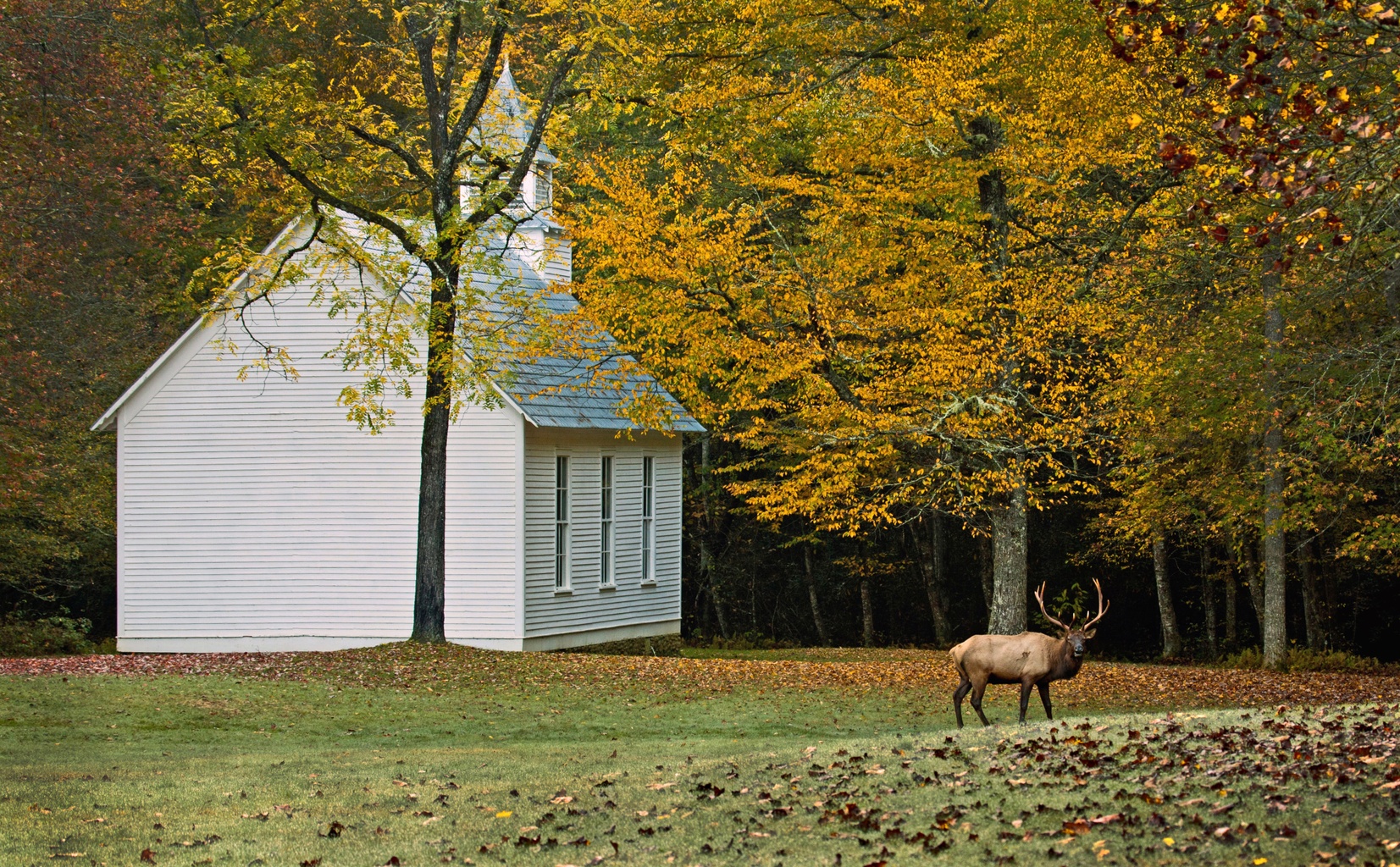 Cataloochee Valley