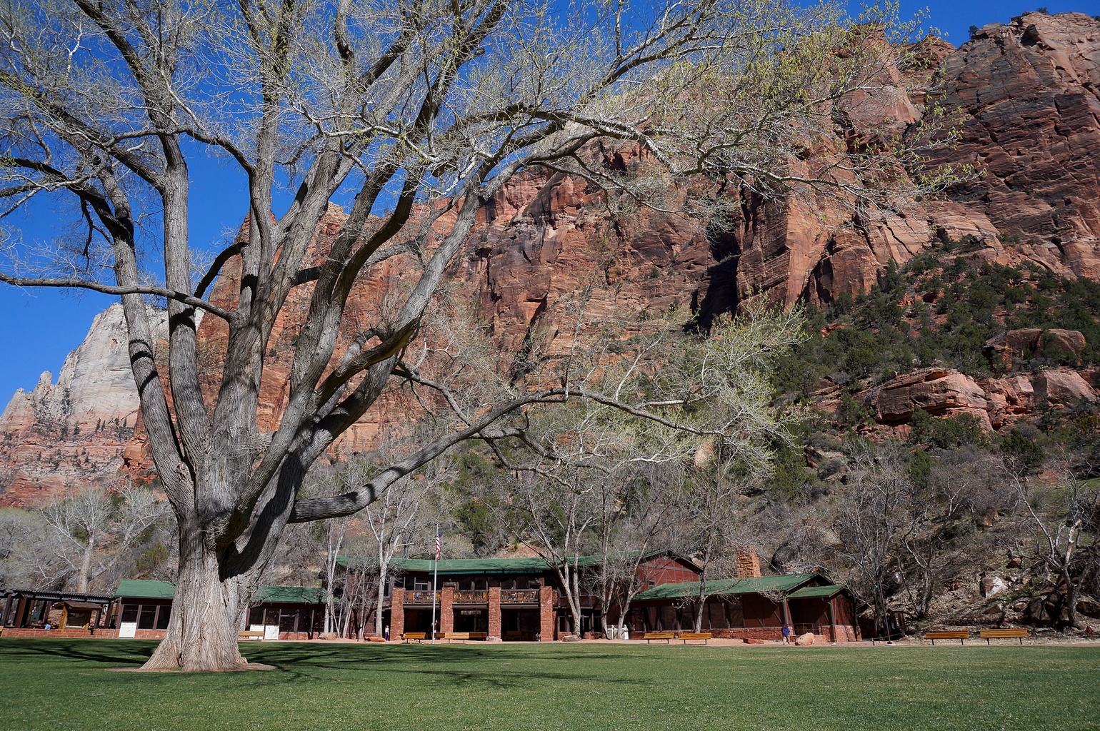 Zion Lodge