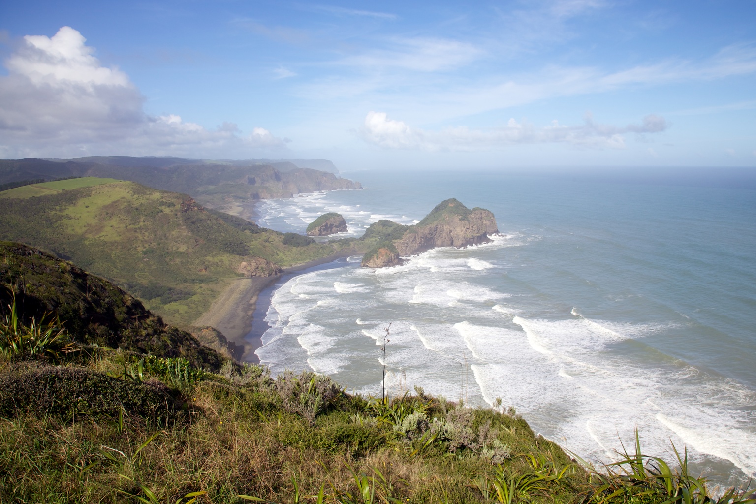 Te Henga Walkway