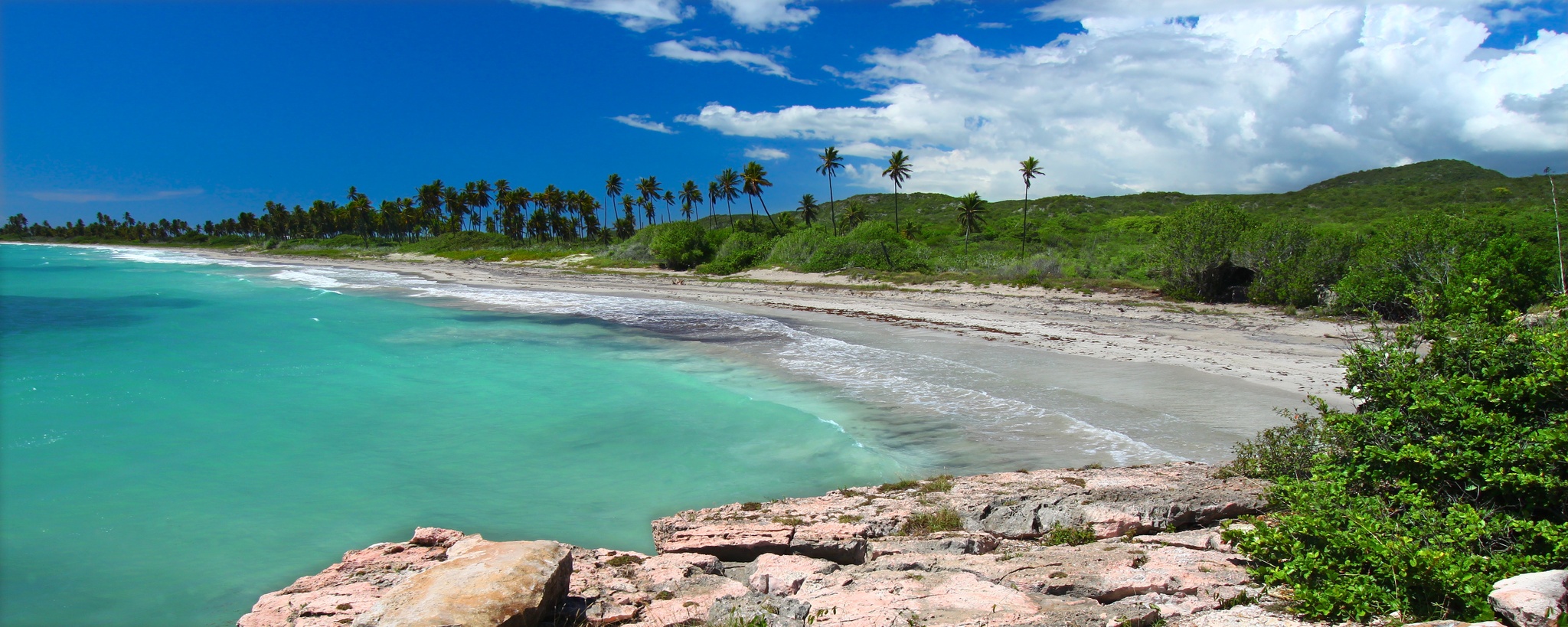 Guánica Reserve