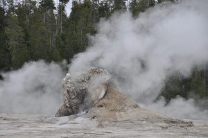 Giant Geyser