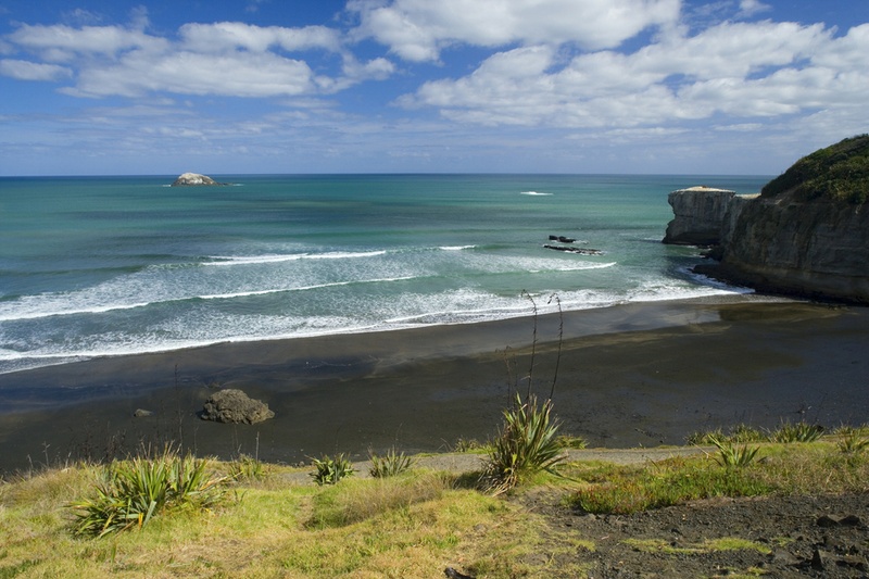 Muriwai Beach Shark Attack