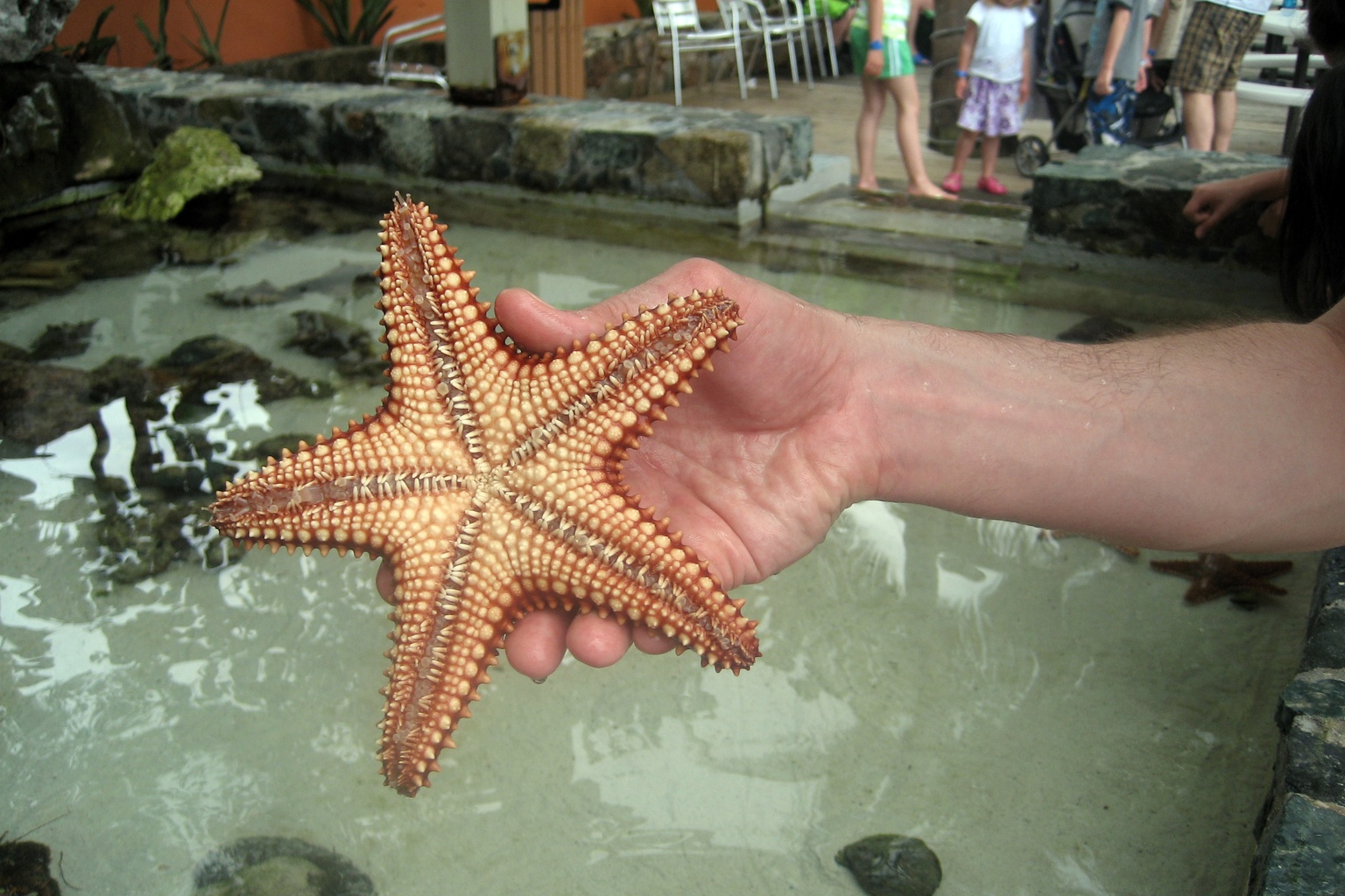 Coral World Ocean Park
