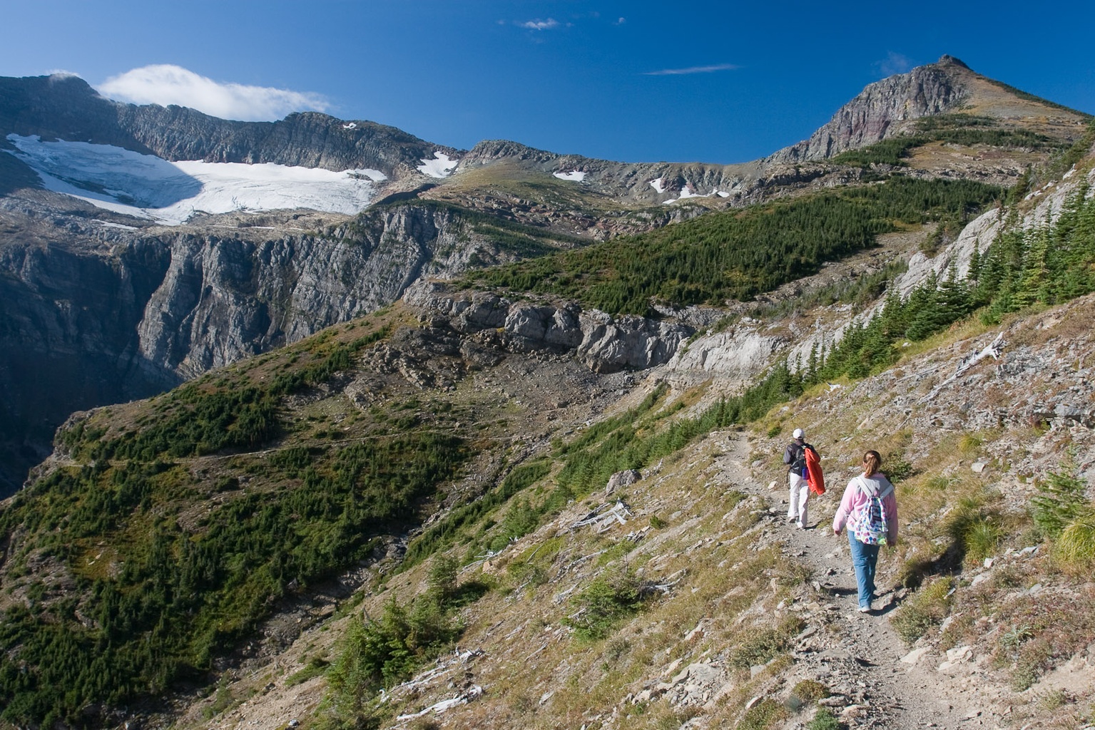 Swiftcurrent Pass Trail