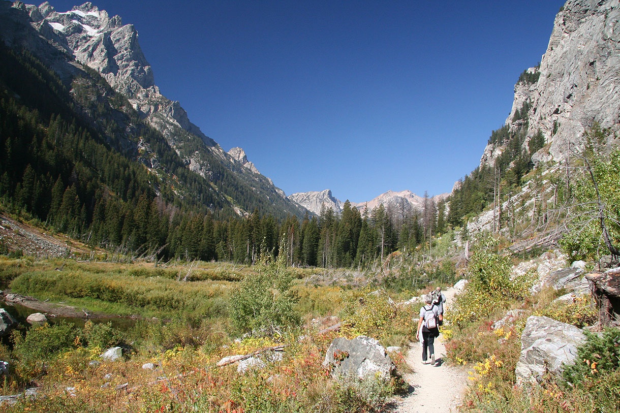 Cascade Canyon Trail
